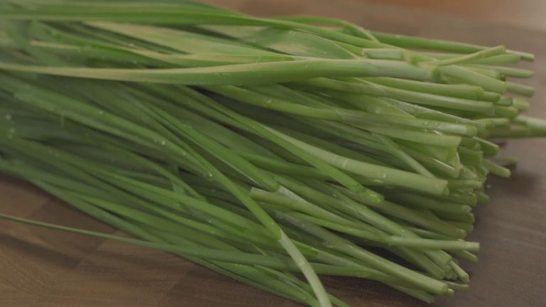 3 façons Simples de Conserver la Ciboulette - Mondo Conserva