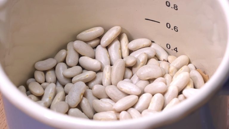 Comment Conserver les Haricots (secs, cuits, en conserve) - Mondo Conserva