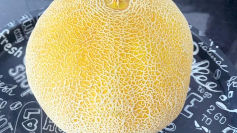 Comment Conserver le Melon : L'ultra guide - Mondo Conserva